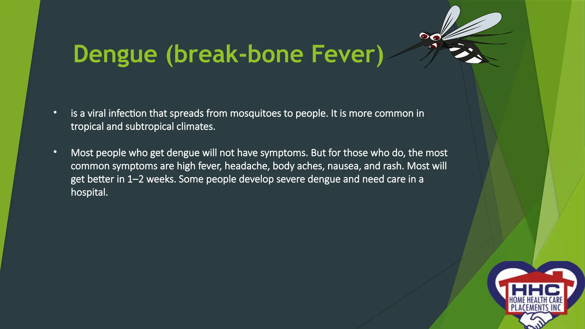 Dengue Awareness and Prevention Measures | PPTX