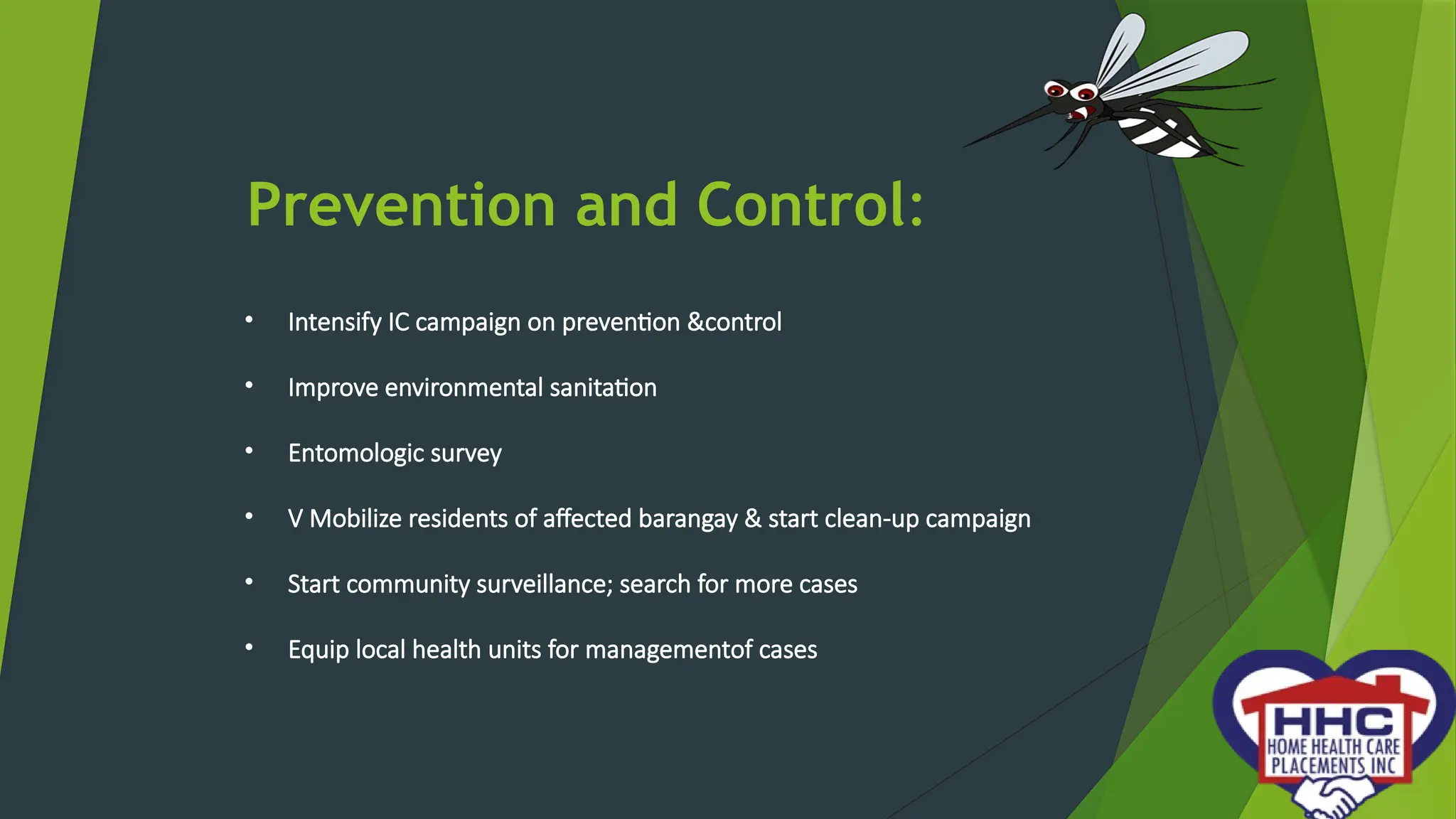 Dengue Awareness and Prevention Measures | PPTX