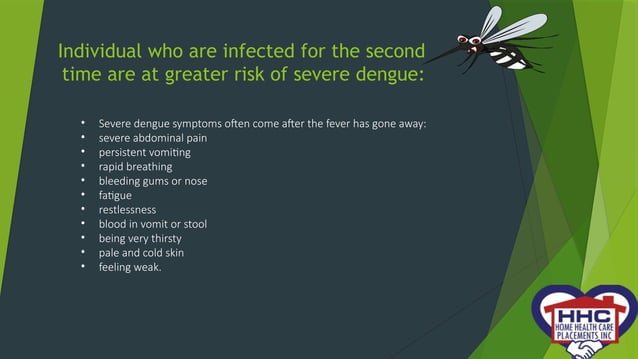 Dengue Awareness and Prevention Measures | PPT