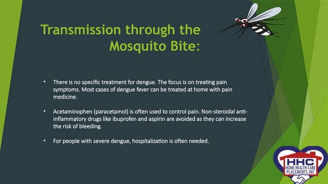 Dengue Awareness and Prevention Measures | PPT