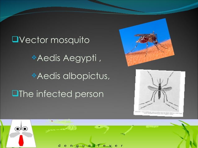 Dengue Fever Power Point | PPT