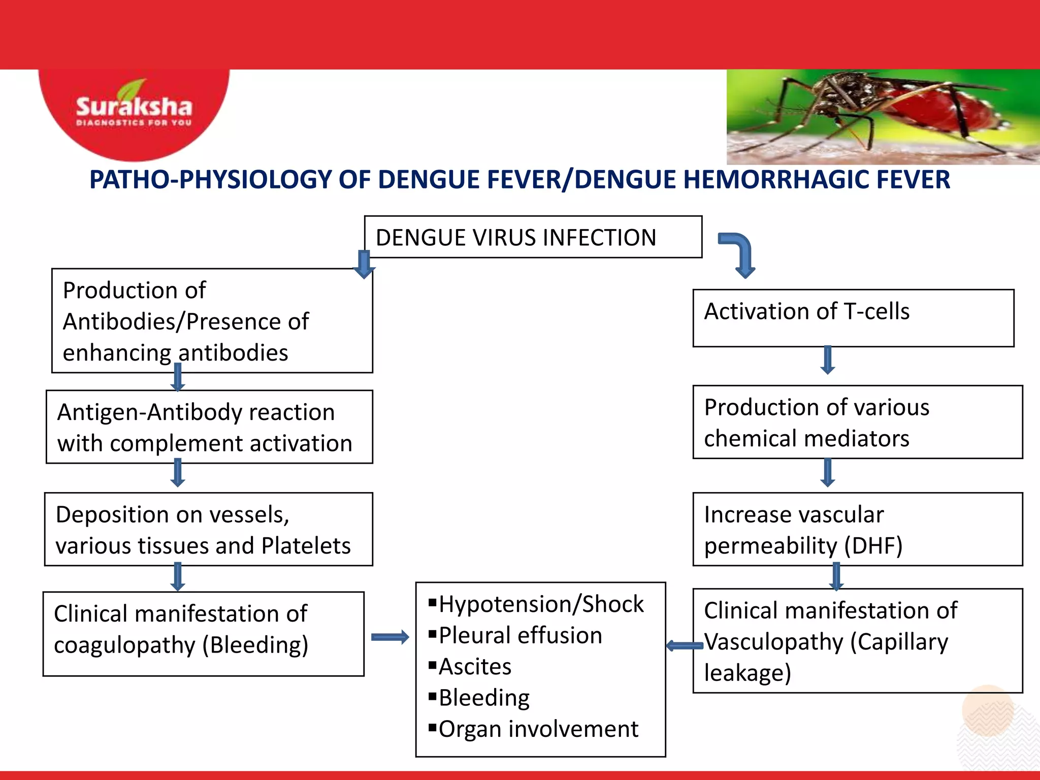 Dengue ppt | PPT