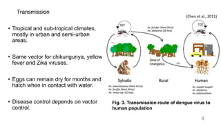 Current and future global distribution and population at risk of dengue ...