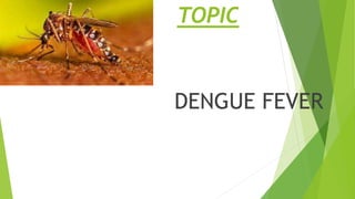 dengue ppt.pptx