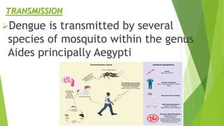 dengue ppt.pptx