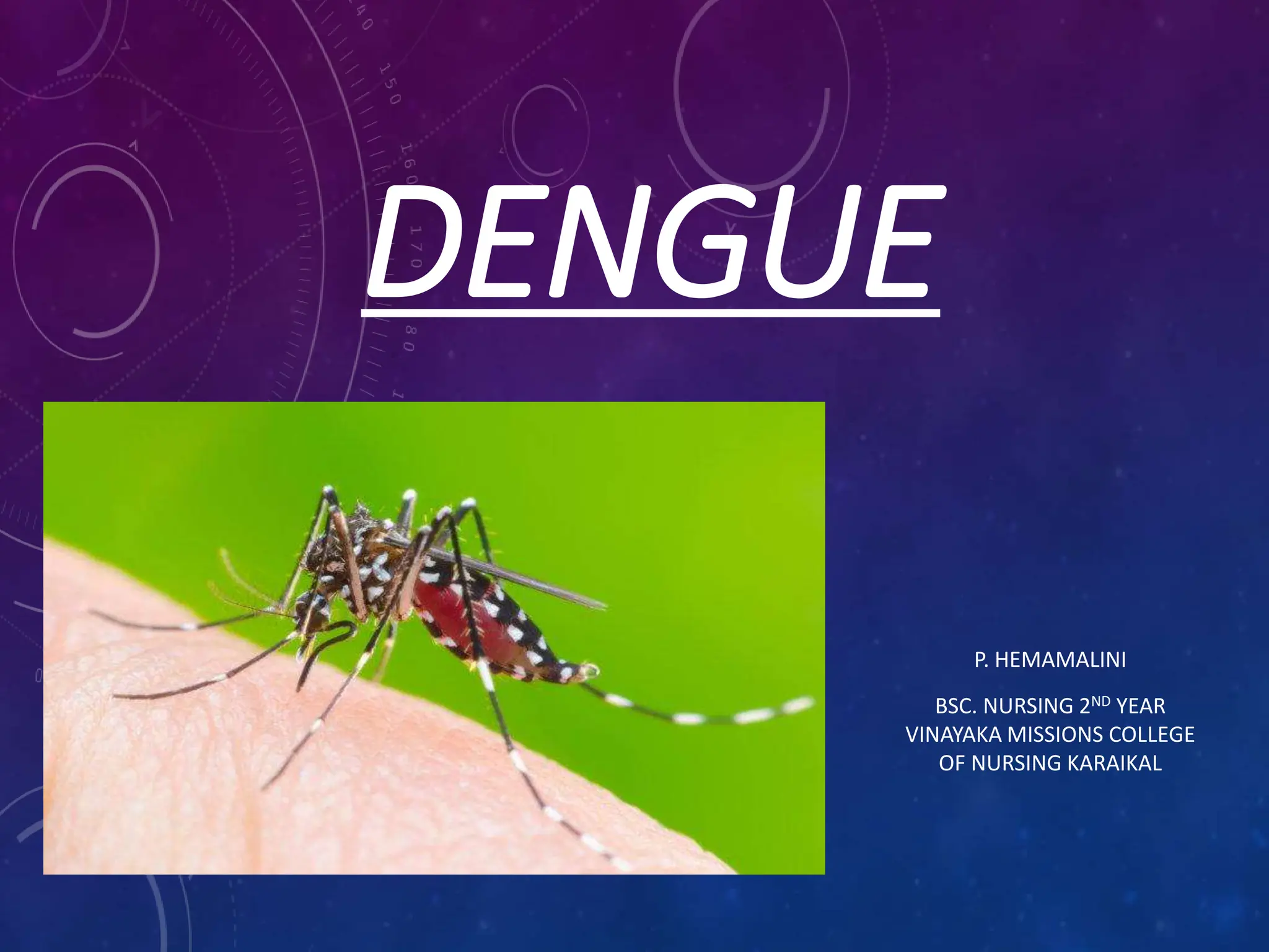 Dengue ppt.pptx new regarding nursing health and prevention | PPTX