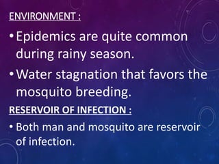 Dengue ppt.pptx new regarding nursing health and prevention | PPTX ...