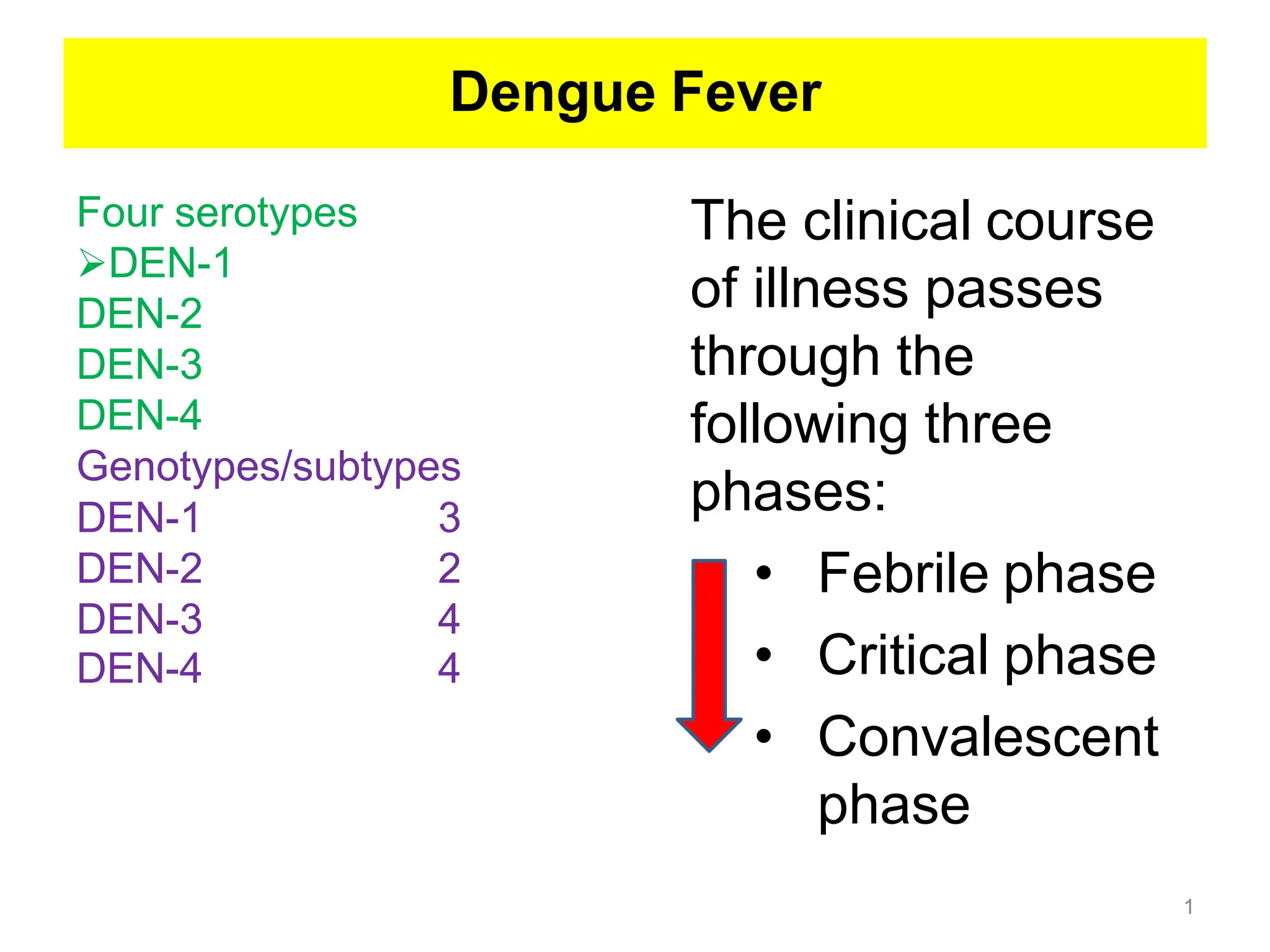 DENGUE FEVER,EPIDEMOLOGY,PATHOGENESIS AND ITS MANAGEMENT | PPTX