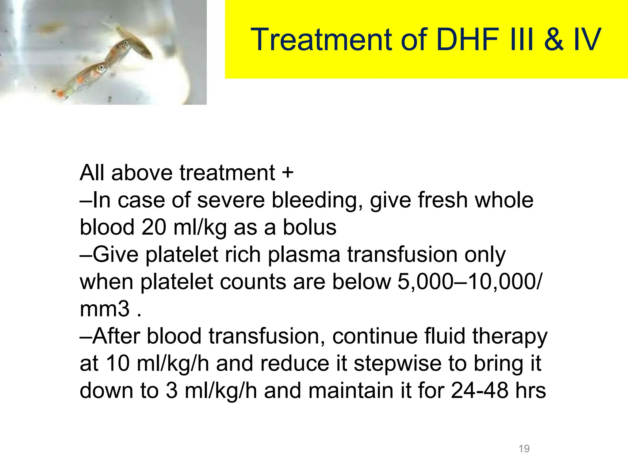 DENGUE FEVER,EPIDEMOLOGY,PATHOGENESIS AND ITS MANAGEMENT | PPTX