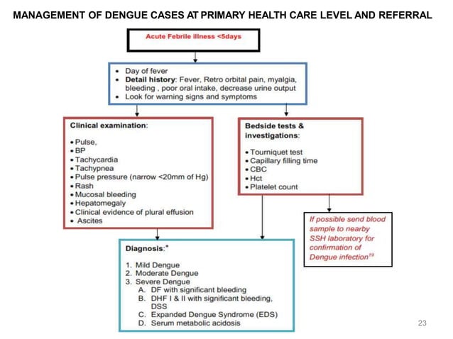DENGUE FEVER,EPIDEMOLOGY,PATHOGENESIS AND ITS MANAGEMENT | PPTX ...