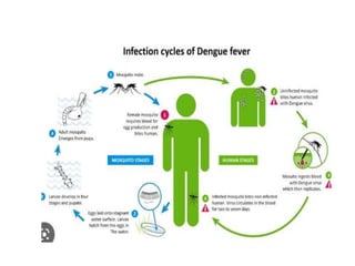 DENGUE FEVER,EPIDEMOLOGY,PATHOGENESIS AND ITS MANAGEMENT | PPTX ...