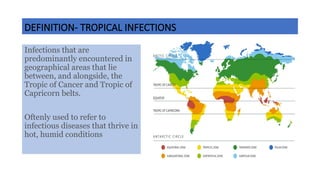 dengue magnitude and distribution , signs and symptoms | PPTX