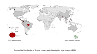 dengue magnitude and distribution , signs and symptoms | PPTX