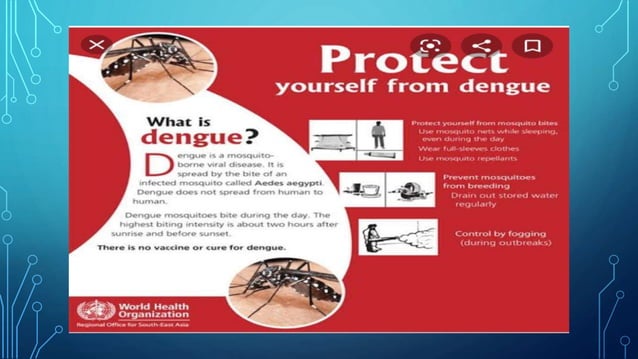 Dengue Causes and its Symptoms- School Project | PPTX | Infectious ...
