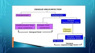 Dengue Causes and its Symptoms- School Project | PPTX