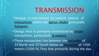 Dengue Causes and its Symptoms- School Project | PPTX