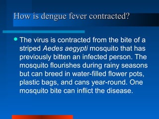 Dengue | PPT