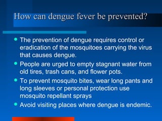 Dengue | PPT