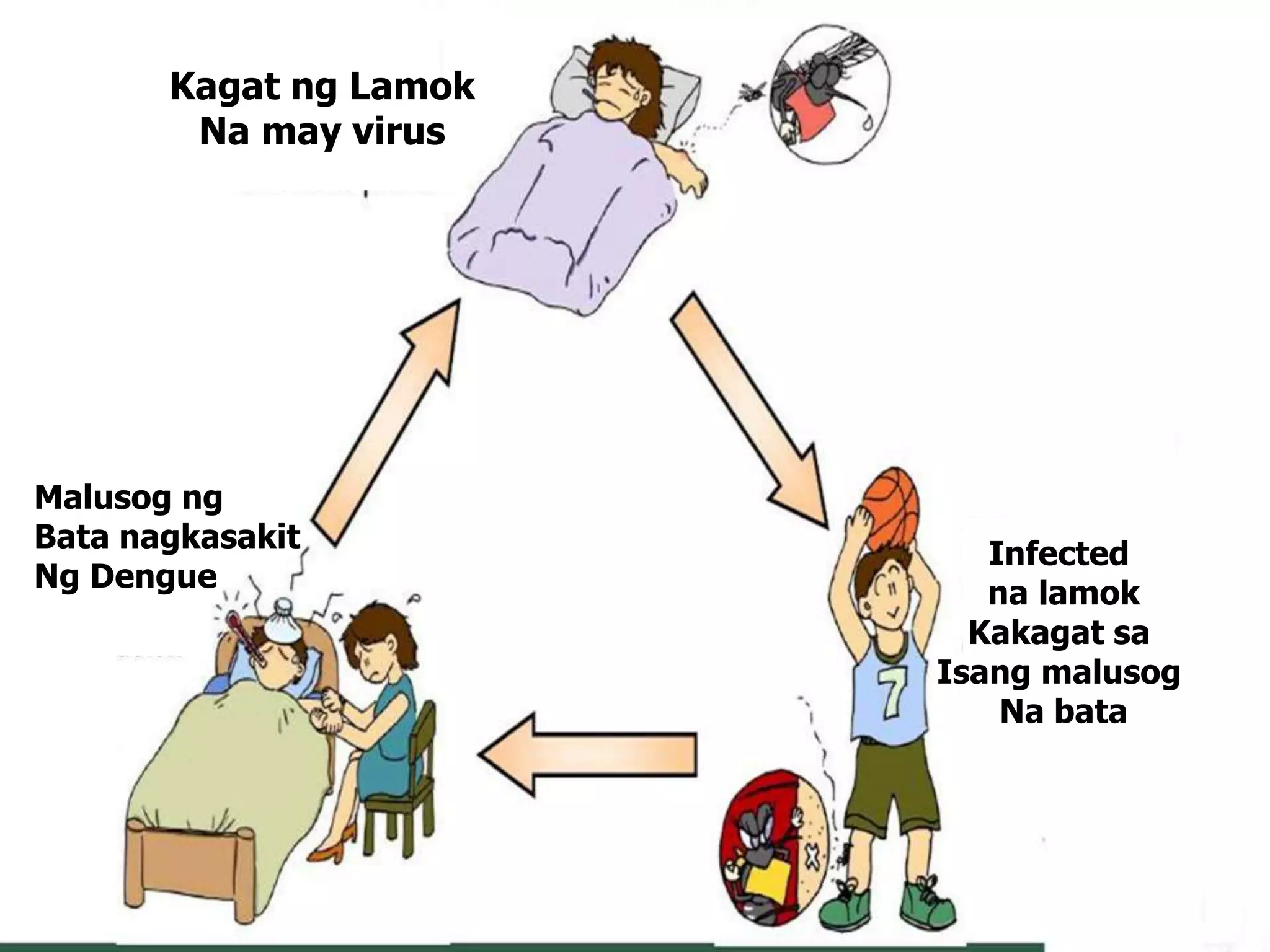 Dengue_present.ppt