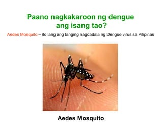 Dengue_present.ppt