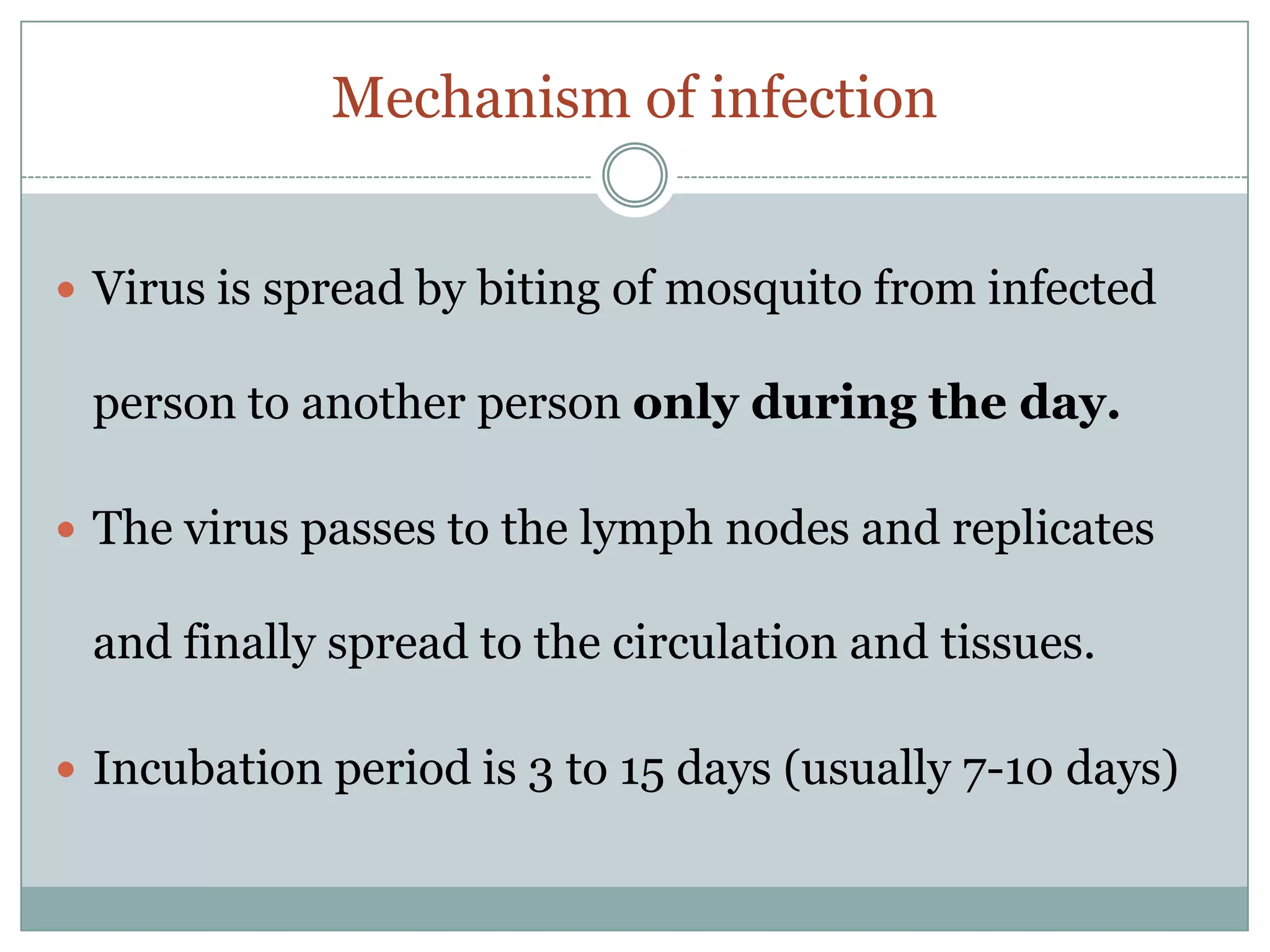 Dengue fever presentation | PPTX