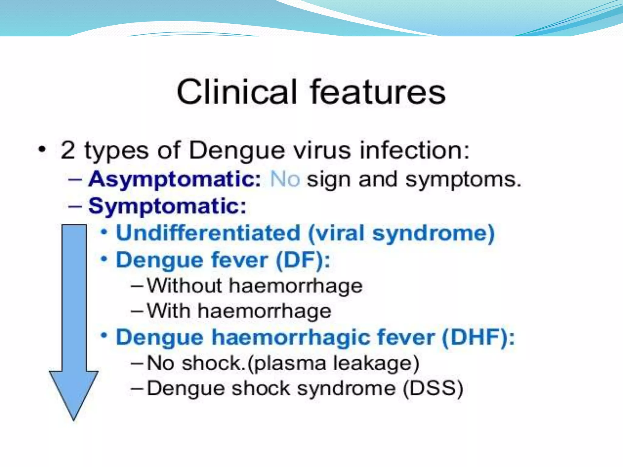 Dengue presentation.pptx