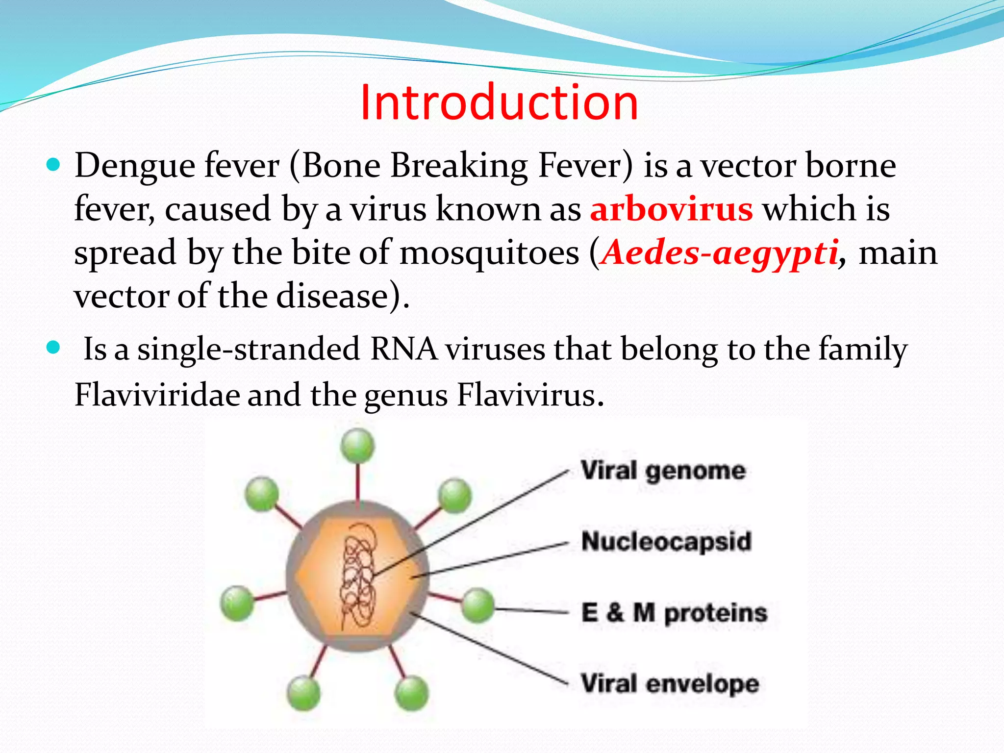 Dengue presentation.pptx