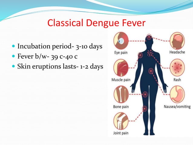 Dengue presentation.pptx