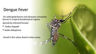 DENGUE FEVER PRESENTATION, EXAMINATION, DIAGNOSTIC TESTS & MANAGEMENT ...