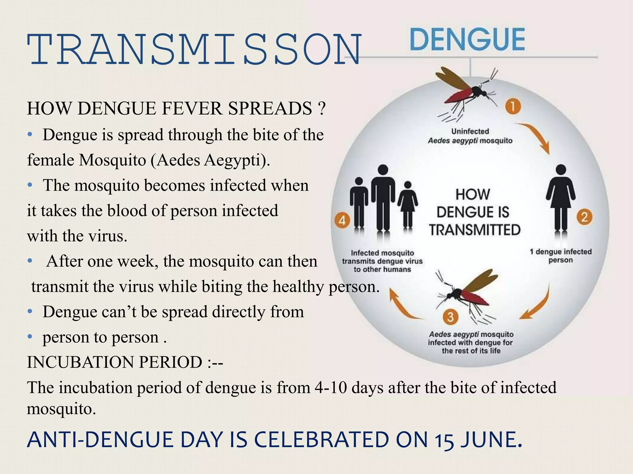 DENGUE FEVER PRESENTATION | PPTX