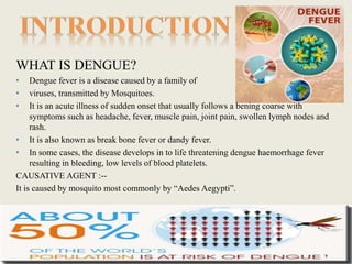 DENGUE FEVER PRESENTATION | PPTX