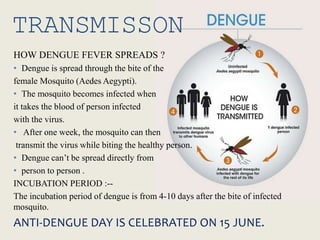 DENGUE FEVER PRESENTATION | PPTX