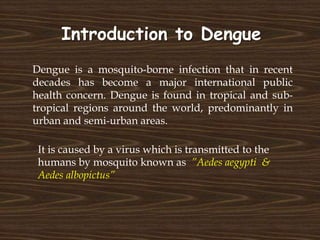 Dengue presentation final BY Dr.SOHAIL SARWAR | PPT