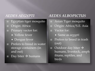 Dengue presentation final | PPTX