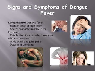 Dengue presentation final | PPT