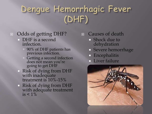 Dengue presentation final | PPTX