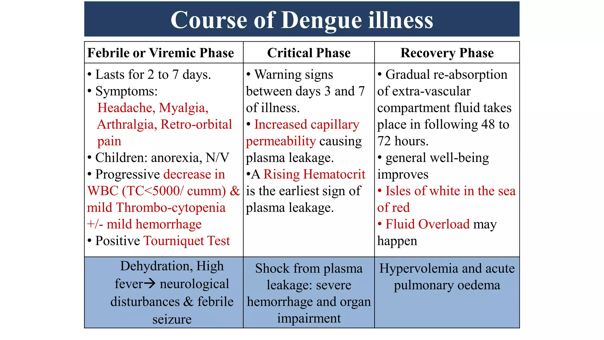 Dengue_Presentation3_(final).pdf