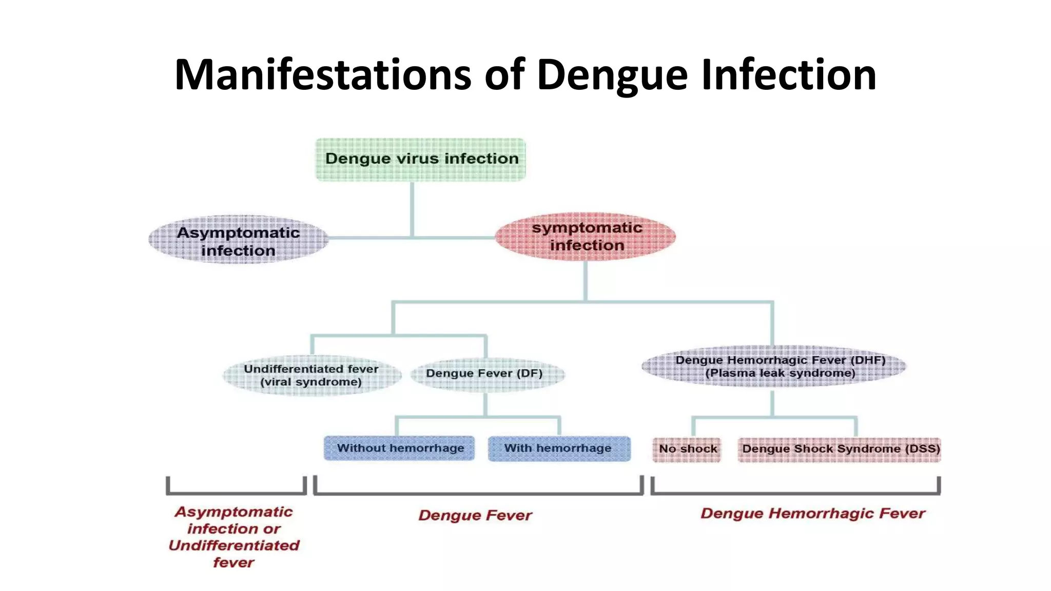 Dengue_Presentation3_(final).pdf