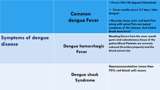 Understanding Dengue Fever Presentation Slide.pdf
