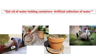 Prevention of Dengue | PPTX | Chemistry | Science