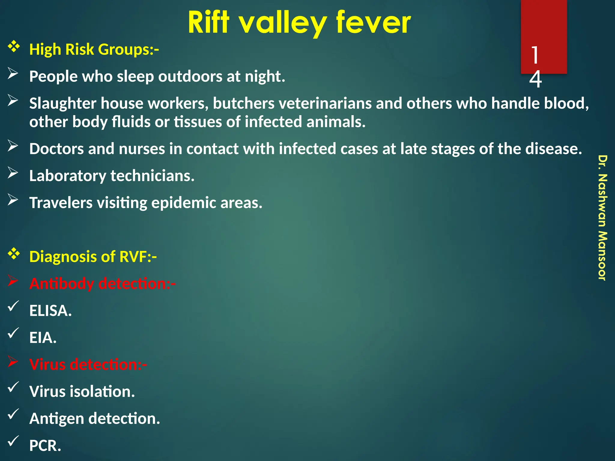 Dengue & RF fever (internal medicine) .pptx