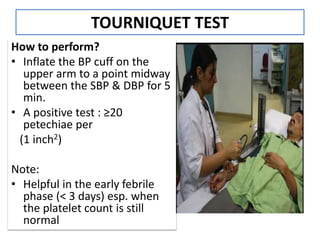 Dengue richa joshi | PPTX