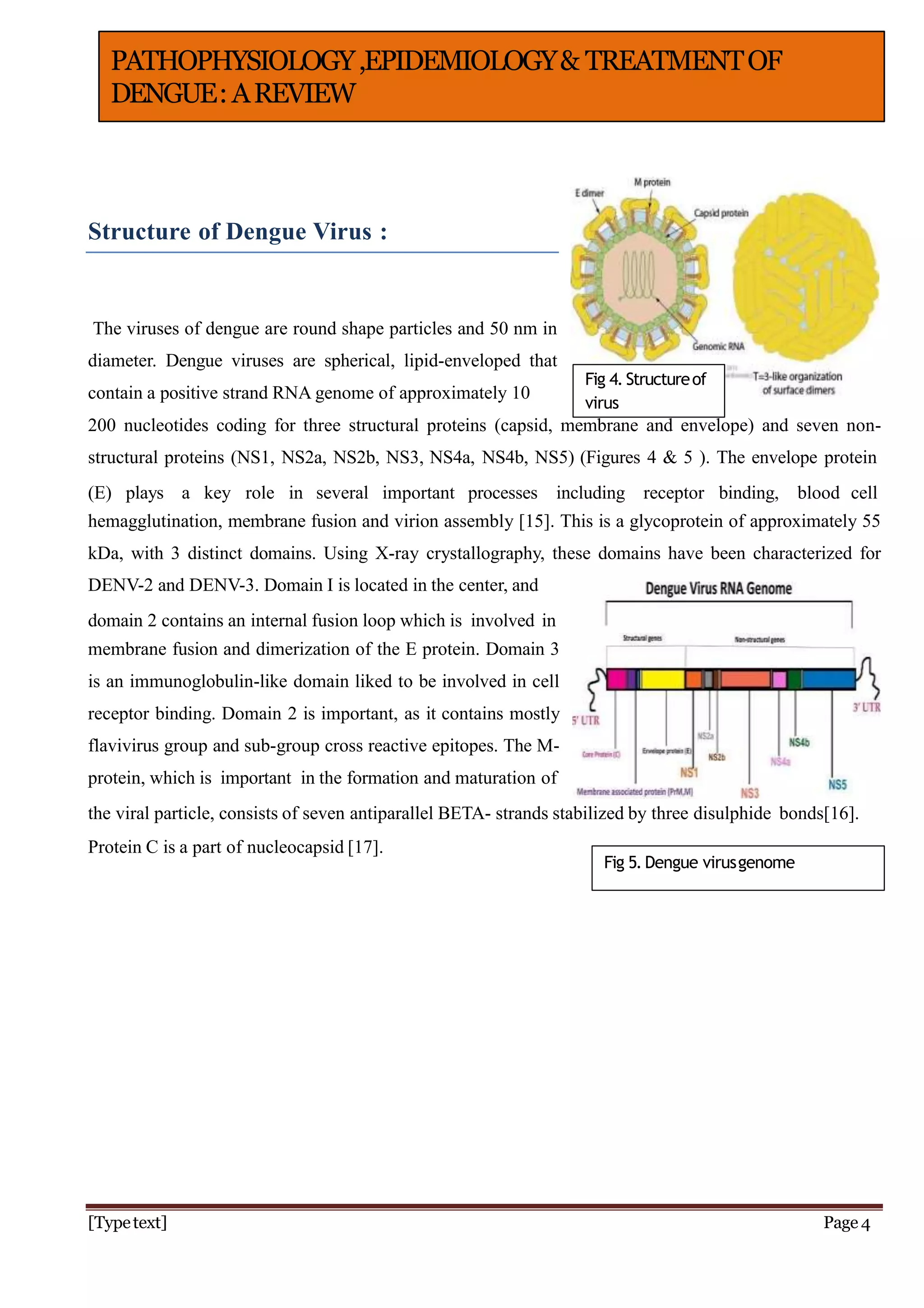 DENGUE REVIEW ARTICLE | PPTX