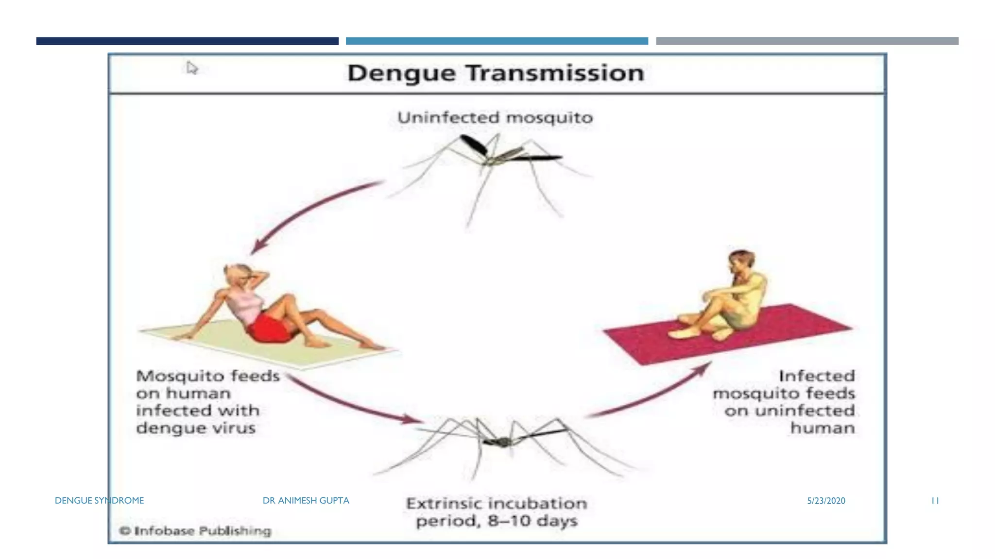 Dengue Syndrome (Dengue Fever, Dengue Haemorrhagic Fever & Dengue Shock ... Dengue Syndrome (Dengue Fever, Dengue Haemorrhagic Fever & Dengue Shock ...