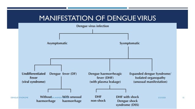 Dengue Syndrome (Dengue Fever, Dengue Haemorrhagic Fever & Dengue Shock ...
