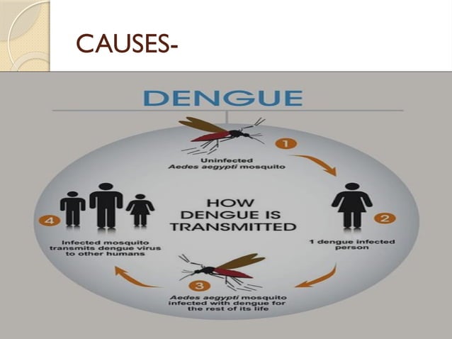 DENGUE SYNDROME FEVER COMPLETE INFORMATION-.pptx