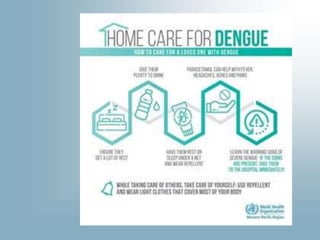 dengue_tagalog2.ppt