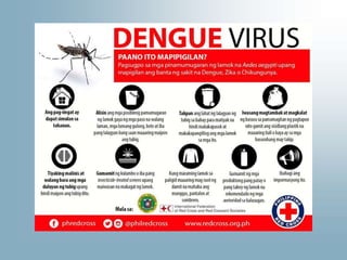 dengue_tagalog2.ppt