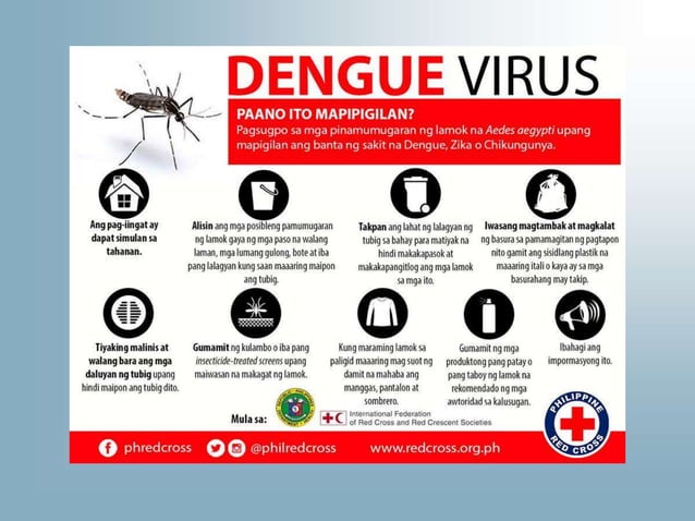 dengue_tagalog2.ppt