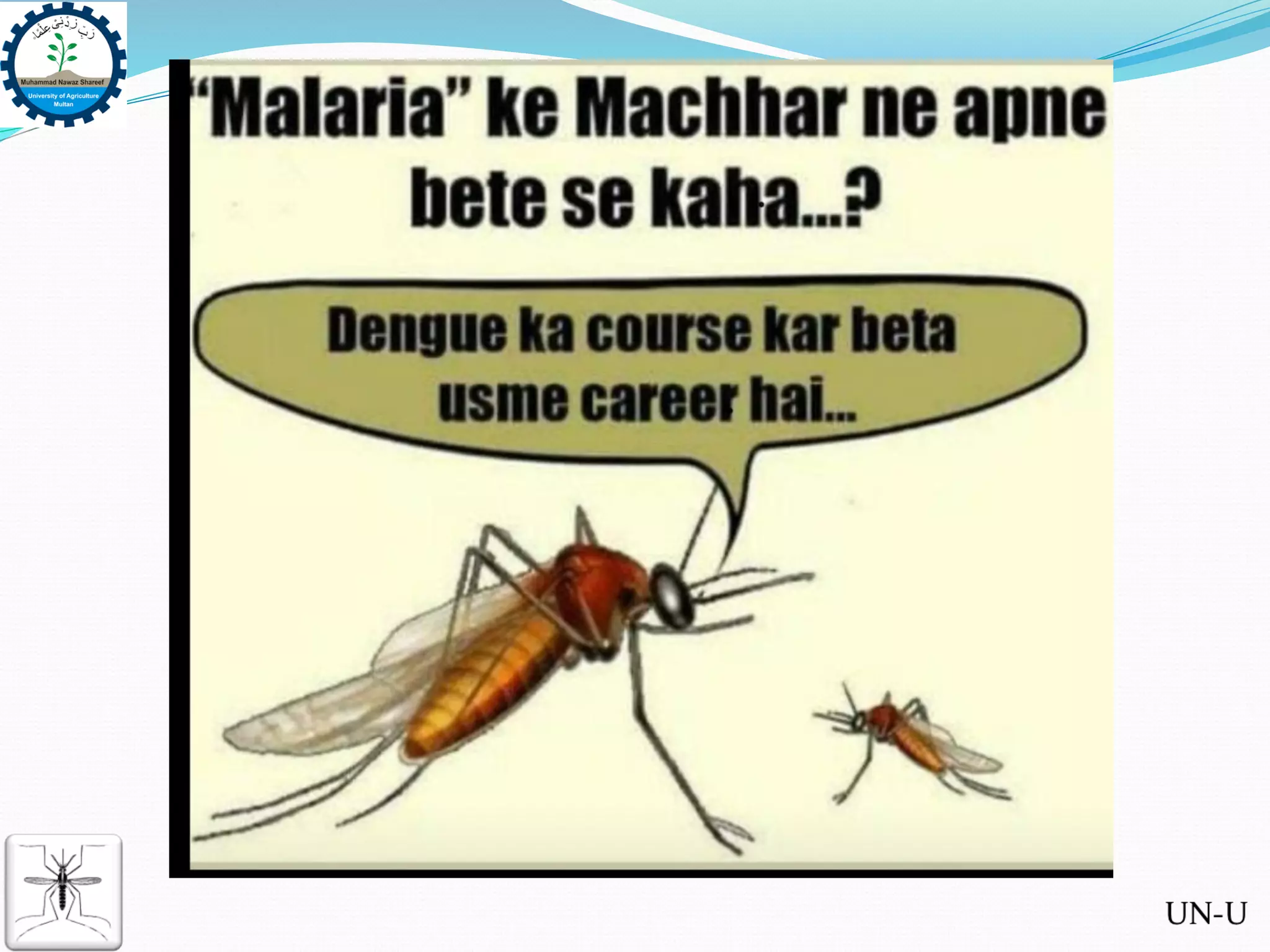 Dengue urdu unsar naeem ullah 16102019 | PDF